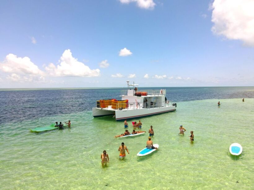 From Key West: Dolphin Watching Tour with Lunch & Drinks - Dolphin Watching in the Florida Marine Sanctuary