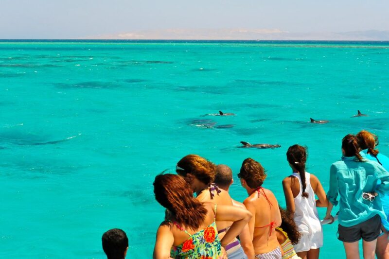 From Key West: Dolphin Watching Tour with Lunch & Drinks - Who Will Love This Tour?