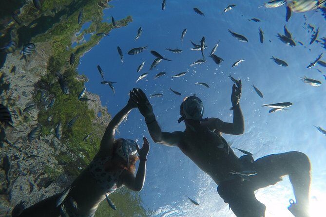 From Khao Lak : Full-Day Private Phi Phi Islands Speedboat Charter - FAQ