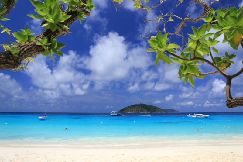 From Khao Lak: Full-Day Snorkeling in the Similan Islands - Key Points