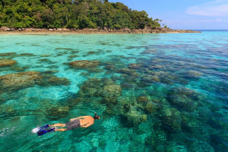From Khao Lak: Full-Day Snorkeling in the Surin Islands - Authentic Experiences and Practical Tips