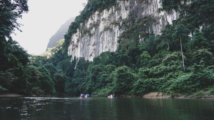 From Khao Lak: Khao Sok Jungle Hike & River Tour - Key Points