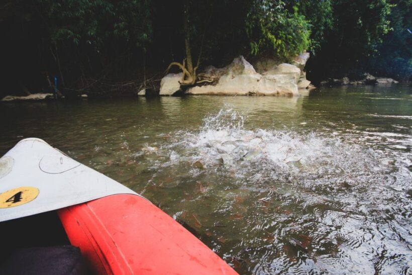 From Khao Lak: Khao Sok Jungle Hike & River Tour - An In-Depth Look at the Tour Experience