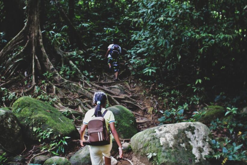 From Khao Lak: Khao Sok Jungle Hike & River Tour - The Sum Up