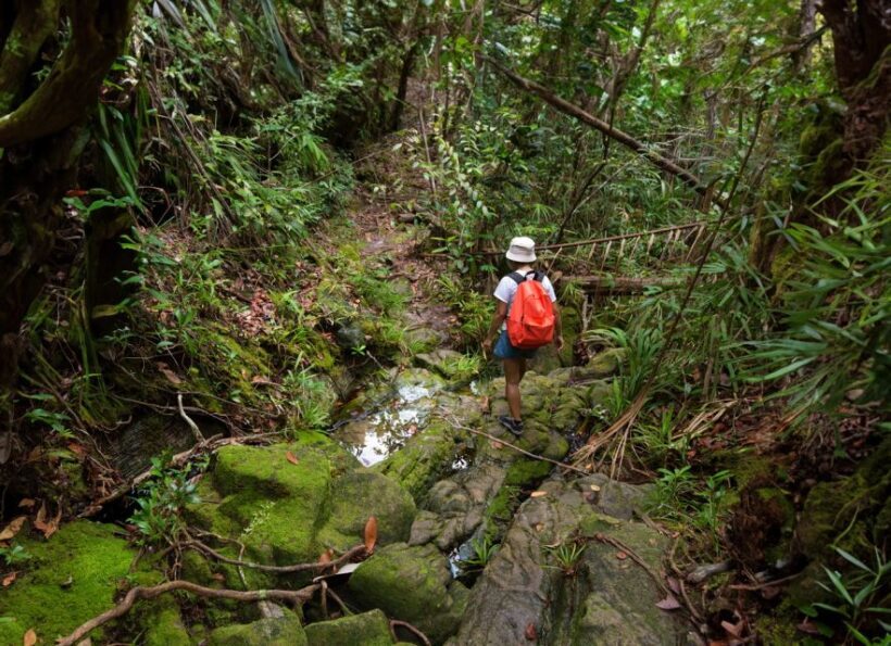 From Khao Lak: Khao Sok Jungle Hike & River Tour - FAQ