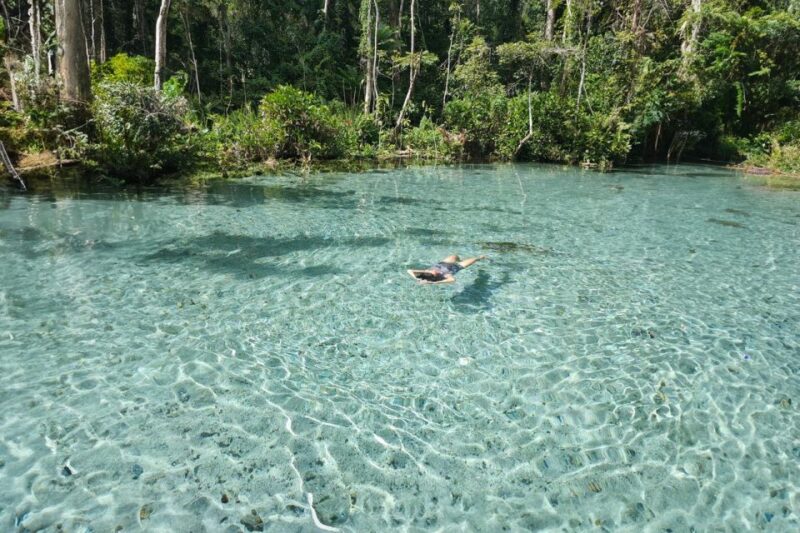 From Khao Lak or Phuket: 2-Day Cheow Lan Lake Tour - Who Will Love This Tour?