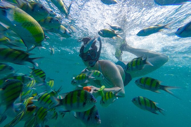 From Khao Lak : Phi Phi Islands Adventure Day Trip with Lunch - Practical Considerations