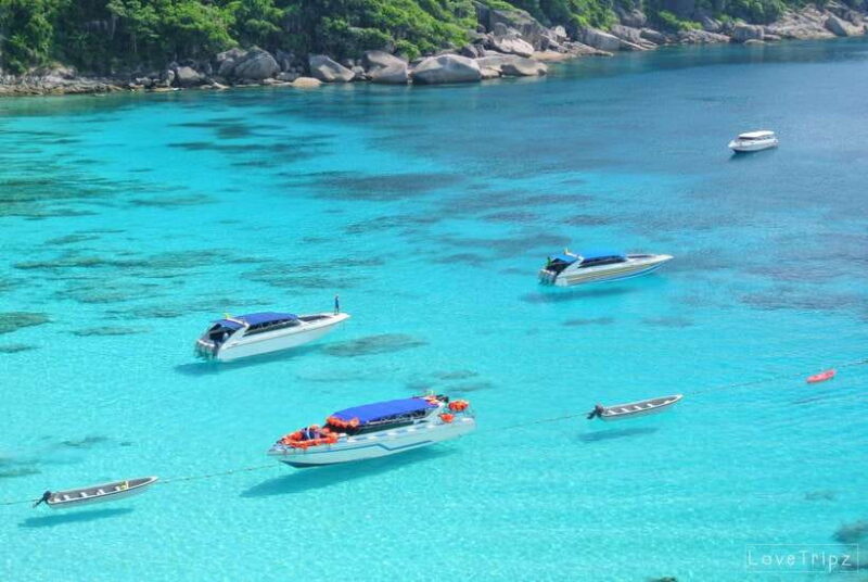 From Khao Lak & Phuket: Trip to Similan Islands by Speedboat - Key Points