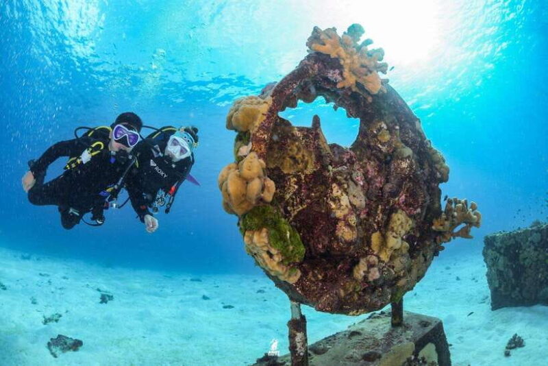 From Khao Lak: Similan Islands Diving Trip - Key Points