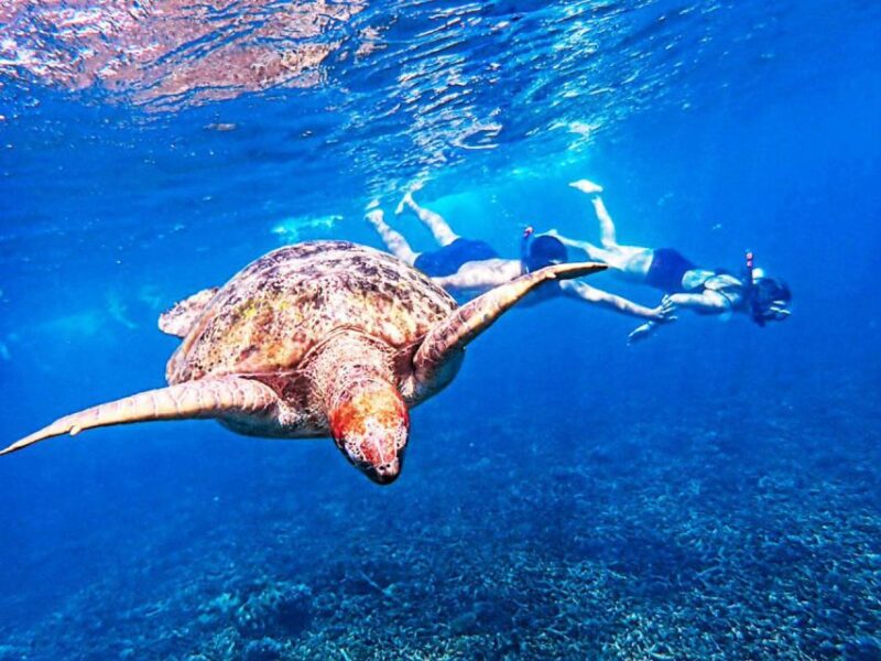 From Khao Lak: Surin Islands Snorkeling Tour w/ Meals - The Authenticity Factor and Tips