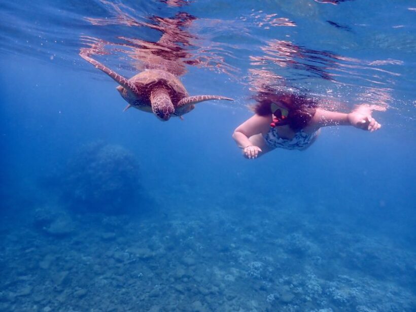 From Kihei: Molokini Crater and Turtle Town Snorkeling - Authentic Experiences from Travelers