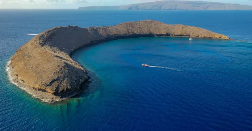 From Kihei: Molokini Crater and Turtle Town Snorkeling - The Sum Up