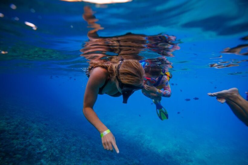 From Kihei: Molokini Crater and Turtle Town Snorkeling - FAQs