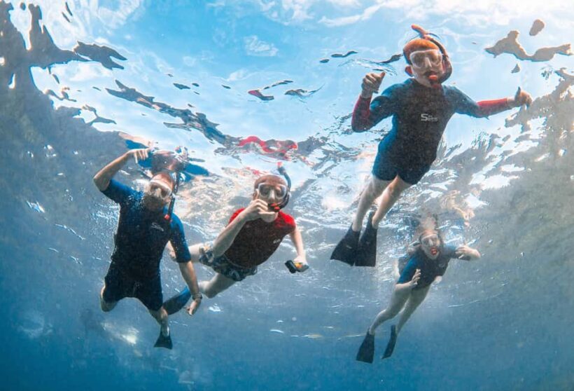 From Kihei: Molokini Snorkel 2-Hour Adventure - Practical Tips and Considerations
