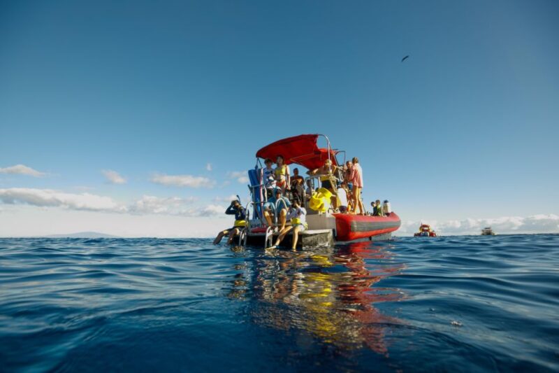 From Kihei: Molokini Snorkel 2-Hour Adventure - Duration and Flexibility
