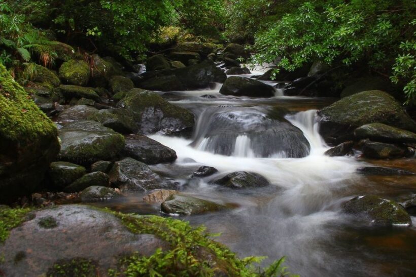 From Killarney: Ring of Kerry Full-Day Tour - The Full Day of Scenic Highlights and Cultural Insights