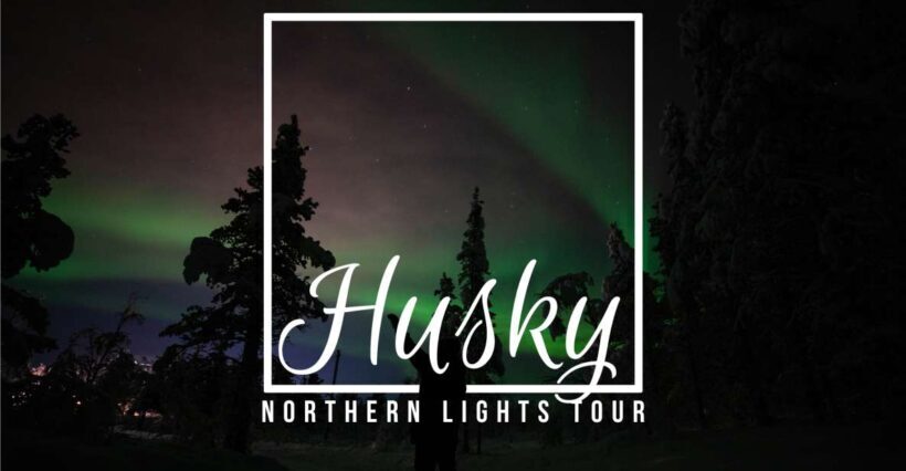 From Kiruna: Northern Lights Guided Husky Sledding Adventure - Key Points