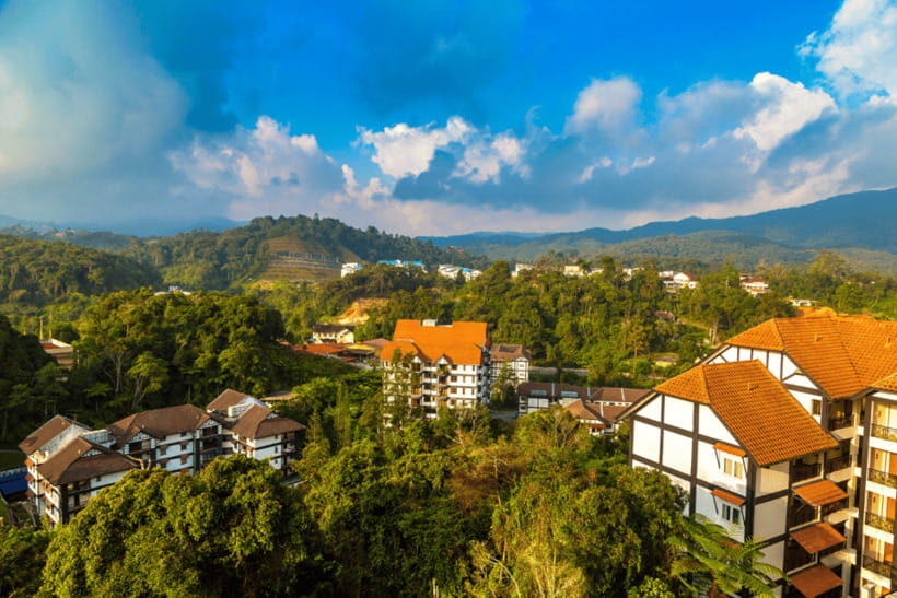 From KL: Cameron Highlands with BOH Habu & Sungei Tea Visit - Exploring the Cameron Highlands: What to Expect