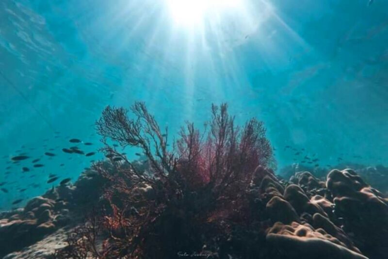 From Ko Kradan: Private Long-Tail Boat Adventure - FAQ