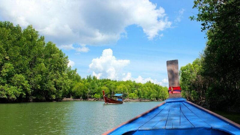 From Ko Lanta: Mangrove Eco-Excursion by Longtail Boat - Key Points