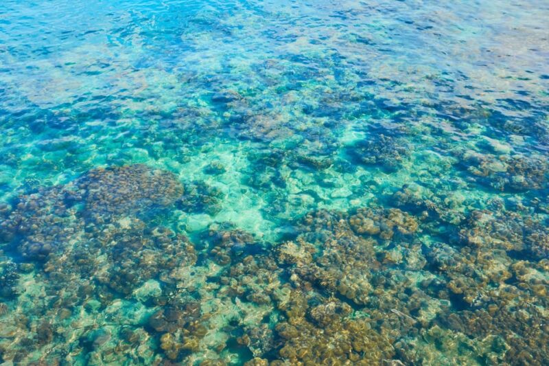 From Ko Libong: Scenic Tour by Private Long-Tail Boat - Practical Details and Considerations