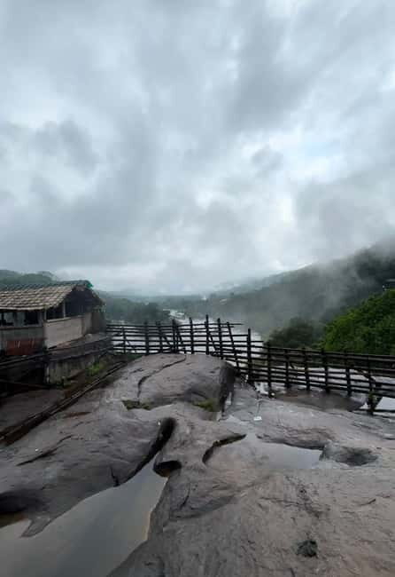 From Kochi: Athirappilly Waterfalls Day Trip with Transfers - Key Points