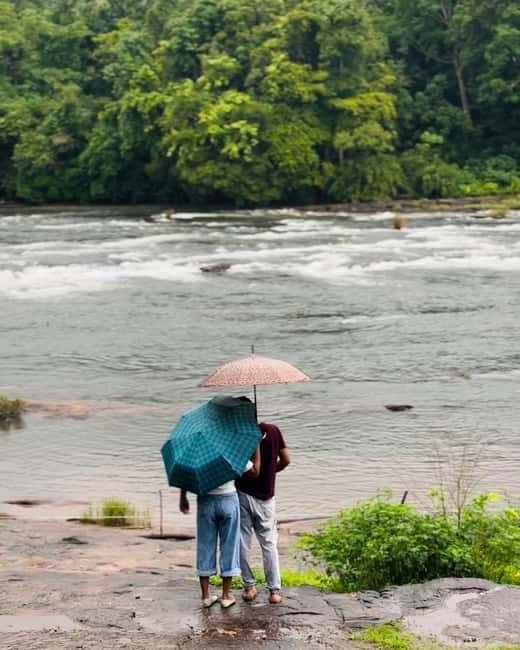 From Kochi: Athirappilly Waterfalls Day Trip with Transfers - The Value and Practicalities