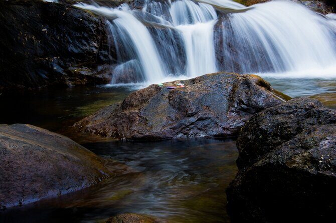 From Kochi: Day Tour to Munnar with Tea Garden and Waterfalls - FAQ