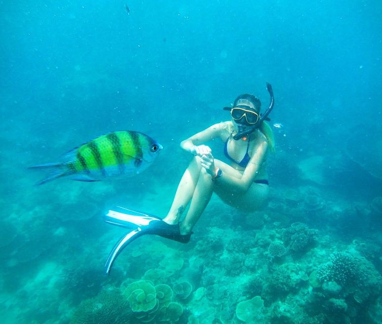 From Koh Lanta: Koh Haa & Koh Rok Snorkel Tour by Speedboat - Who Is This Tour Best For?