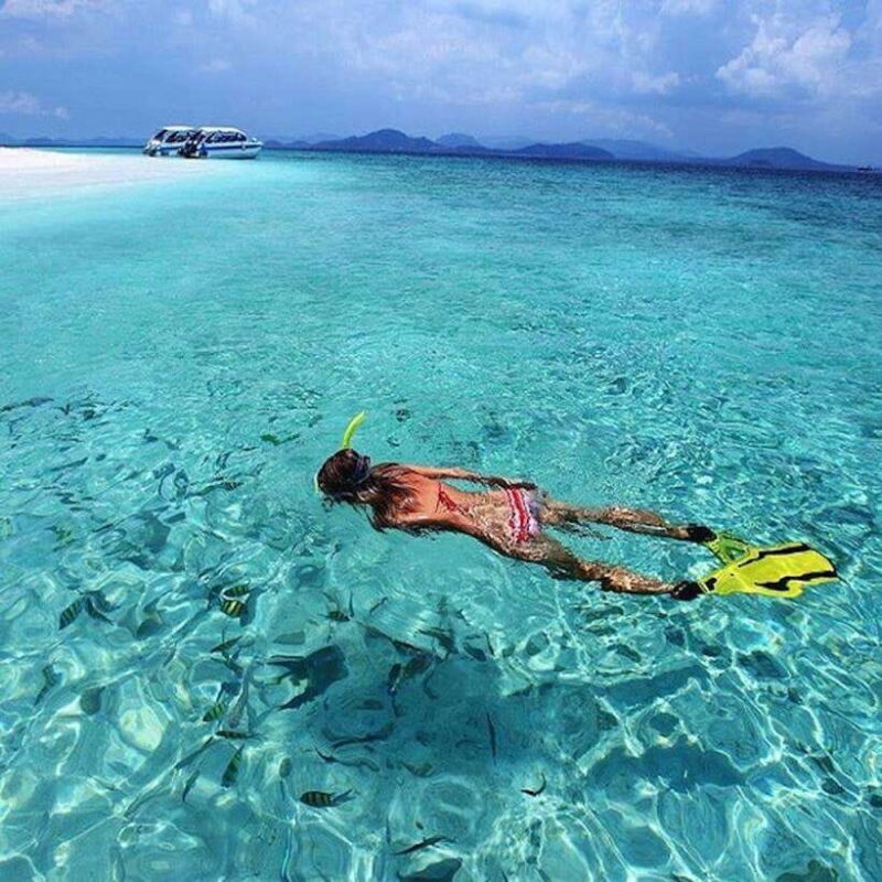 From Koh Lipe: Best Snorkeling Trip - What to Expect During the Trip