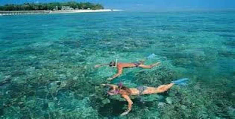 From Koh Lipe: Best Snorkeling Trip - Who Should Consider This Tour?