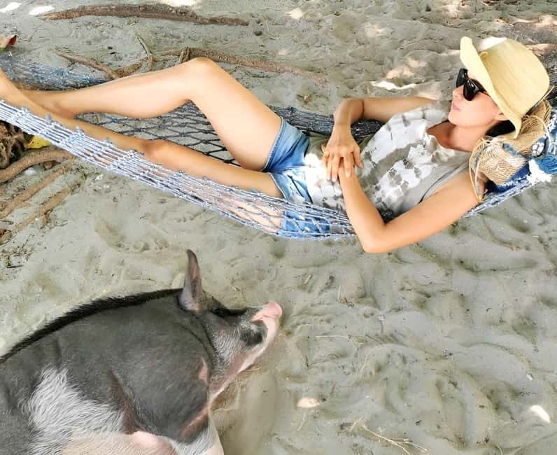 From Koh Samui: Pink Dolphin Boat Tour to Khanom with Lunch - Final Thoughts