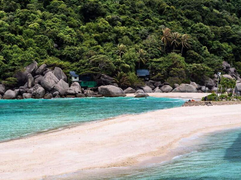 From Koh Samui: Private Speedboat Tour to Koh Tao & Nangyuan - Who Should Consider This Tour?