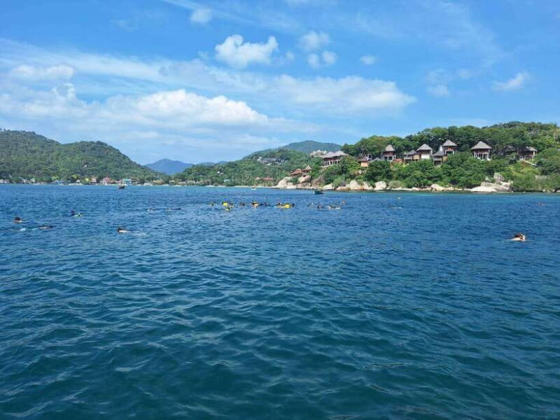 From Koh Samui: Private Speedboat Tour to Koh Tao & Nangyuan - FAQs