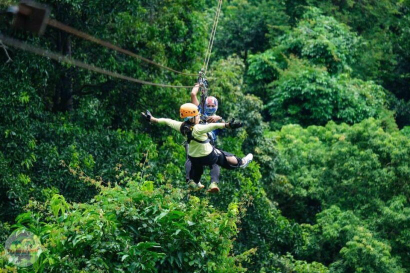From Koh Samui: Tree Bridge Zipline and Café Experience - Introduction: A Scenic Thrill with a View
