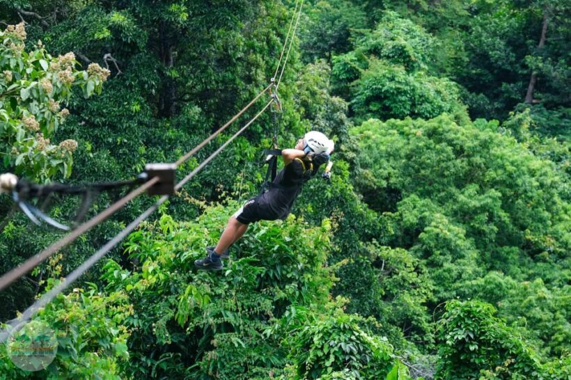 From Koh Samui: Tree Bridge Zipline and Café Experience - The Experience from the Traveler’s Perspective