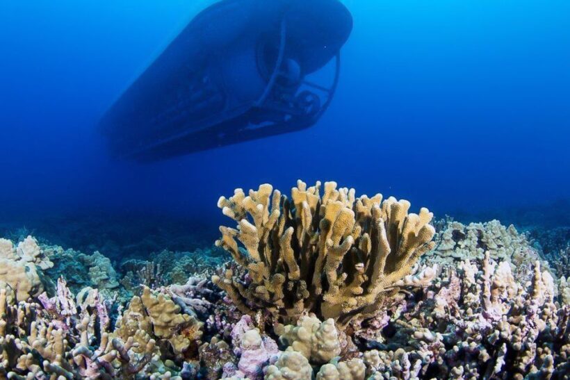 From Kona: Big Island Underwater Submarine Adventure - Key Points