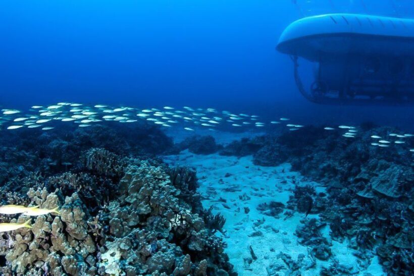 From Kona: Big Island Underwater Submarine Adventure - Who Should Consider This Experience