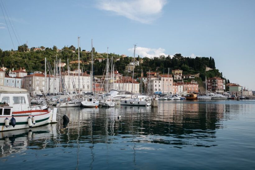 From Koper: Piran's Tastes and Tales - Scenic Drive Along Slovenias Coastal Hills