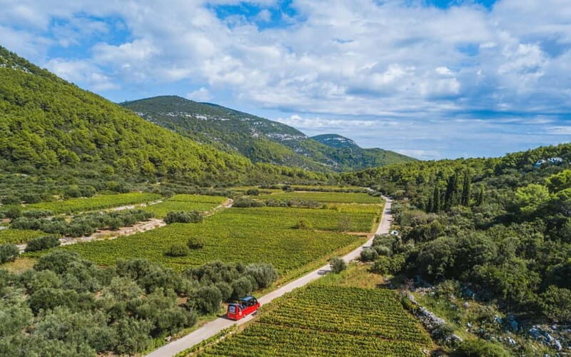 From Korcula Town: Local Wine & Sightseeing Half-Day Tour - An Introduction to Korcula’s Wine & Scenery
