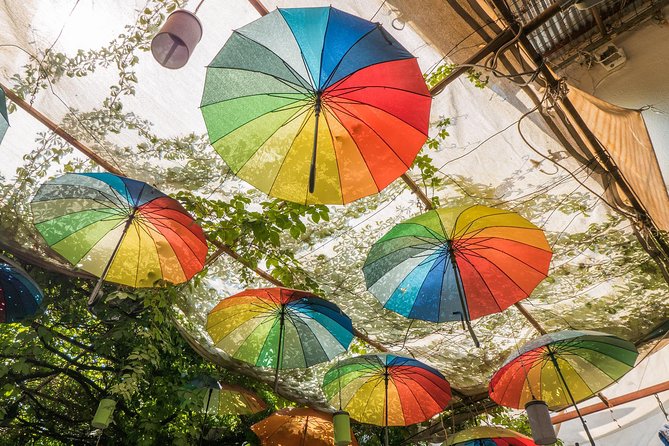 From Kos: Independent Day Trip to Bodrum - Traveler Experiences and Feedback