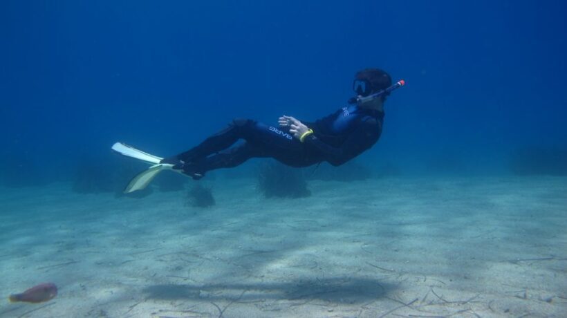 From Kos: Pserimos Island Snorkeling Cruise by Diving Boat - An In-Depth Look at the Pserimos Island Snorkeling Cruise