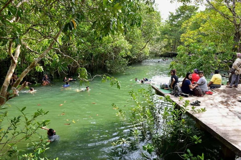 From Krabi: 1-Day Khao Sok & 2-Day Cheow Lan Lake Safari - A Closer Look at the Itinerary and What You’ll Experience