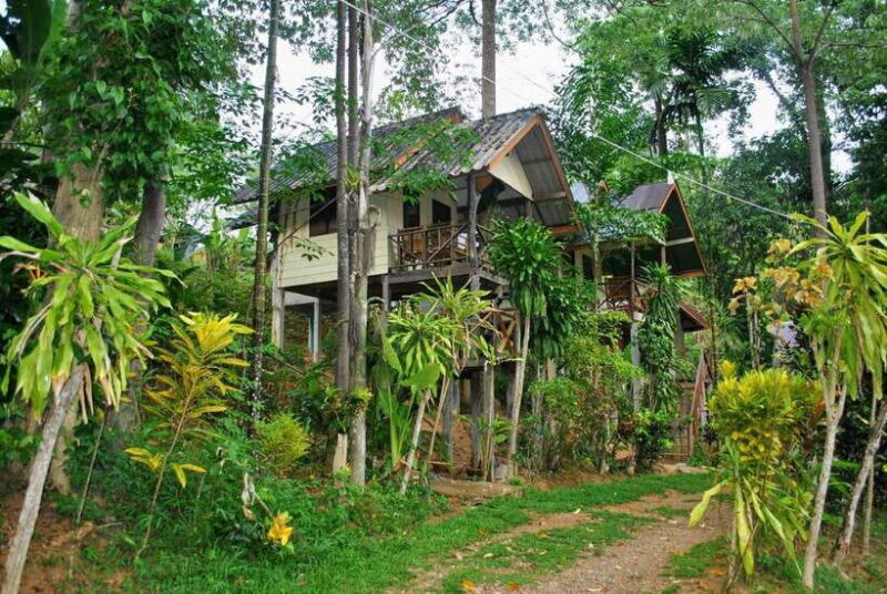 From Krabi: 2-Day Khao Sok Jungle Safari with Overnight Stay - Who Will Love This Tour?