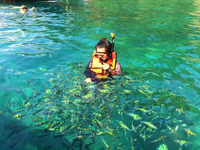 From Krabi: 4 Islands Snorkeling Tour by Speed Boat - Who Will Love This Tour?