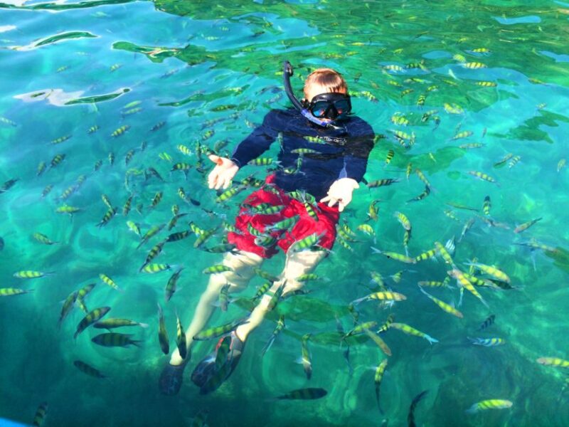 From Krabi: 4 Islands Snorkeling Tour by Speed Boat - FAQs