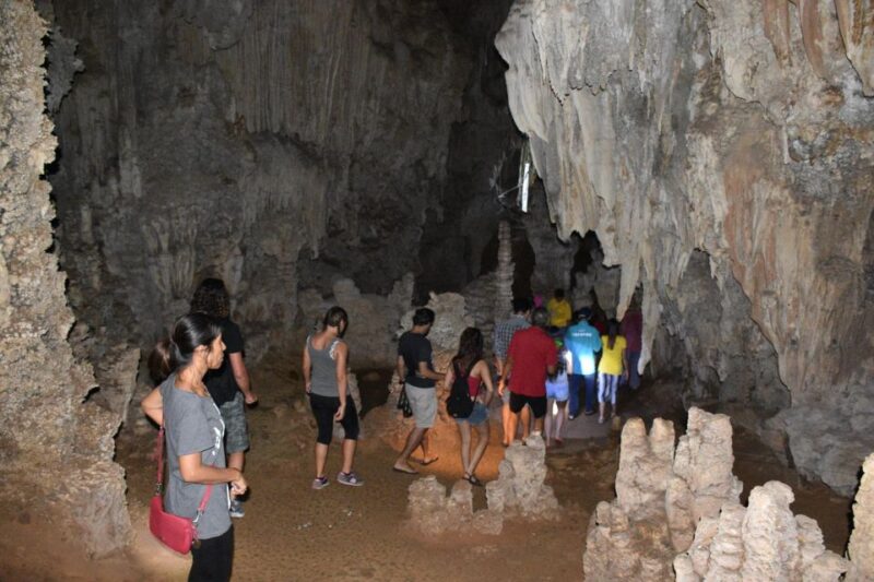 From Krabi: Cheow Lan Lake Cruise and Khao Sok Jungle Hike - Key Points