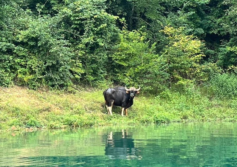 From Krabi: Great Cheow Lan Lake Tour with Lunch at PhuTawan - The Sum Up: Is It Worth It?