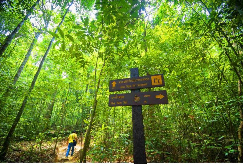 From Krabi: Khao Ngon Nak Trekking Experience - Final Thoughts