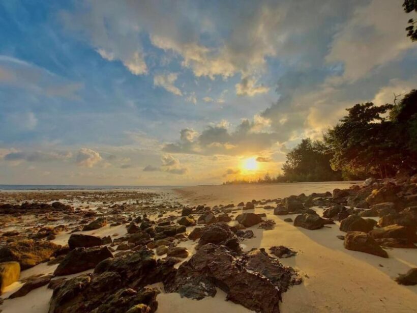 From Krabi: Phi Phi Early Bird & 4 Islands by Speedboat - Key Points